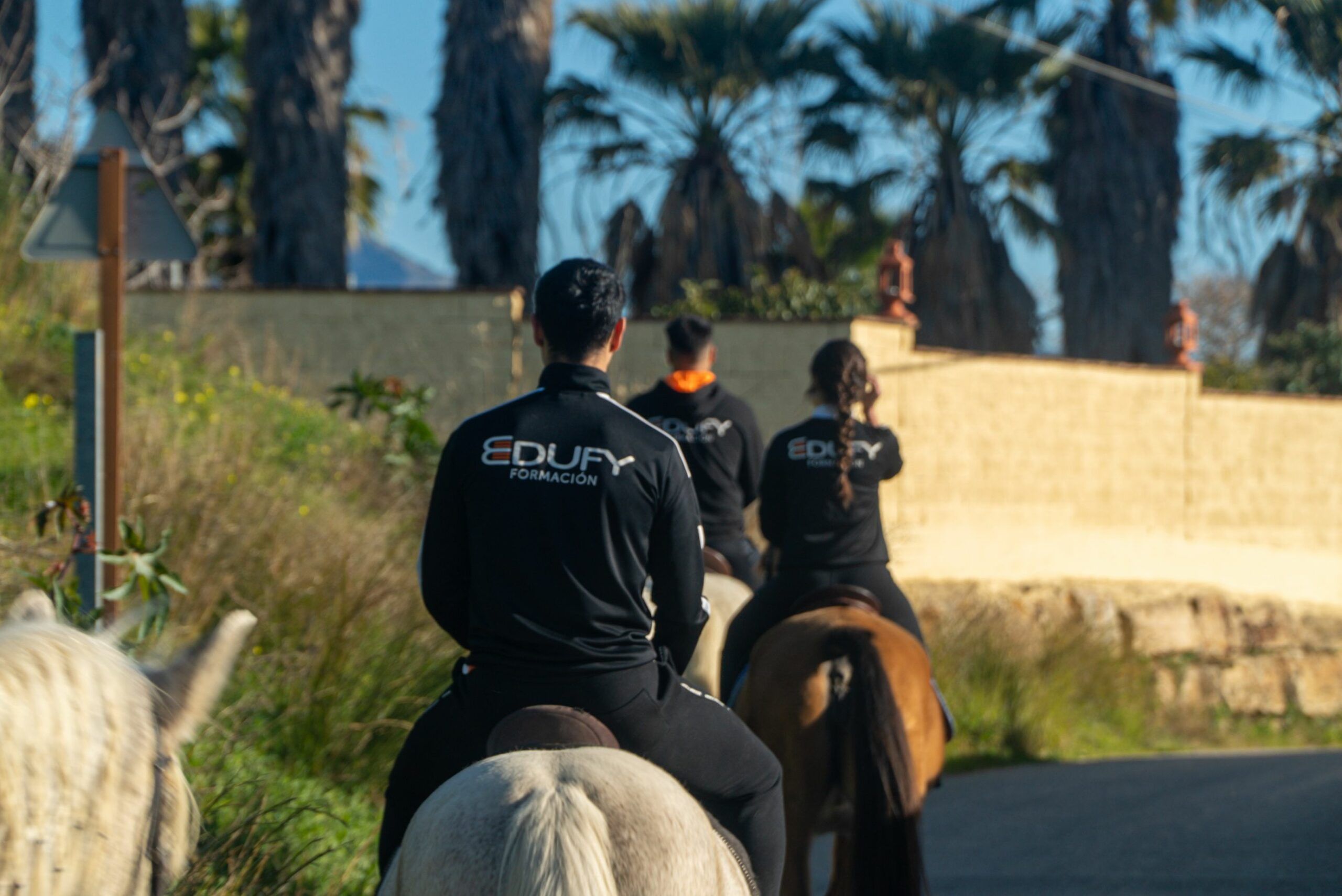 Noticias FP: novedades y consejos sobre Formación Profesional | EDUFY | Instituto Oficial FP